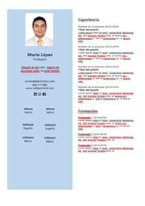 Descargar Plantilla Currículum Vitae Formal Formato Word